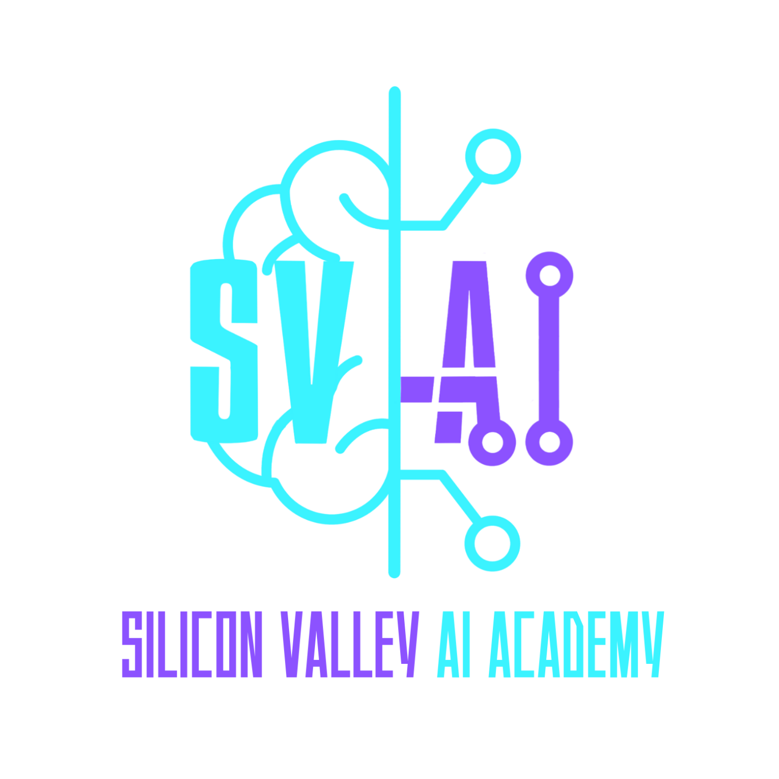 Silicon Valley AI Academy